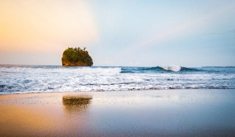 Bioluminescence: kayaking in the blue waters-Costa Rica I Howlanders